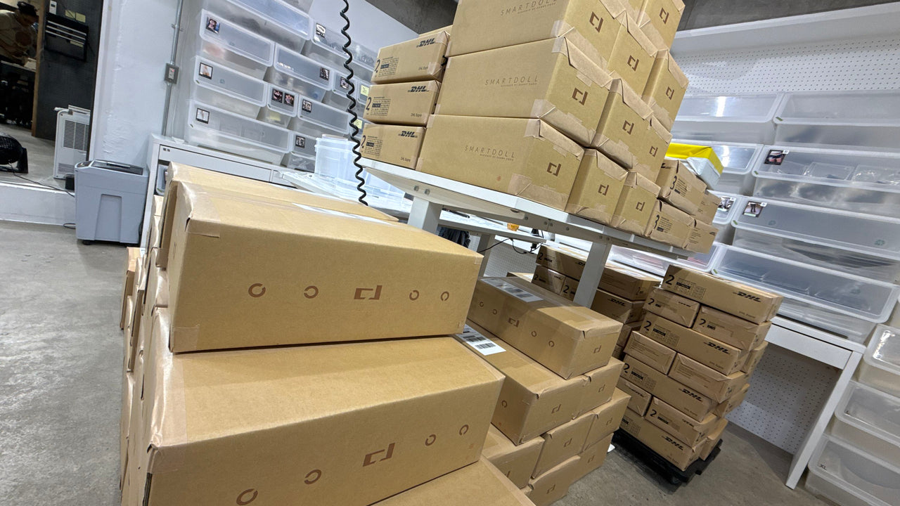 Regarding Failed Delivery Attempts – Smart Doll Store